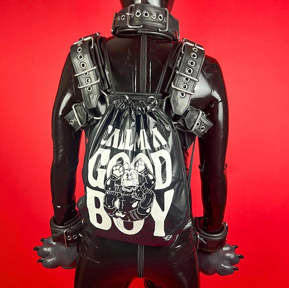 "Good Boy", PVC Drawstring Bag | James Newland Illustration – REGULATION